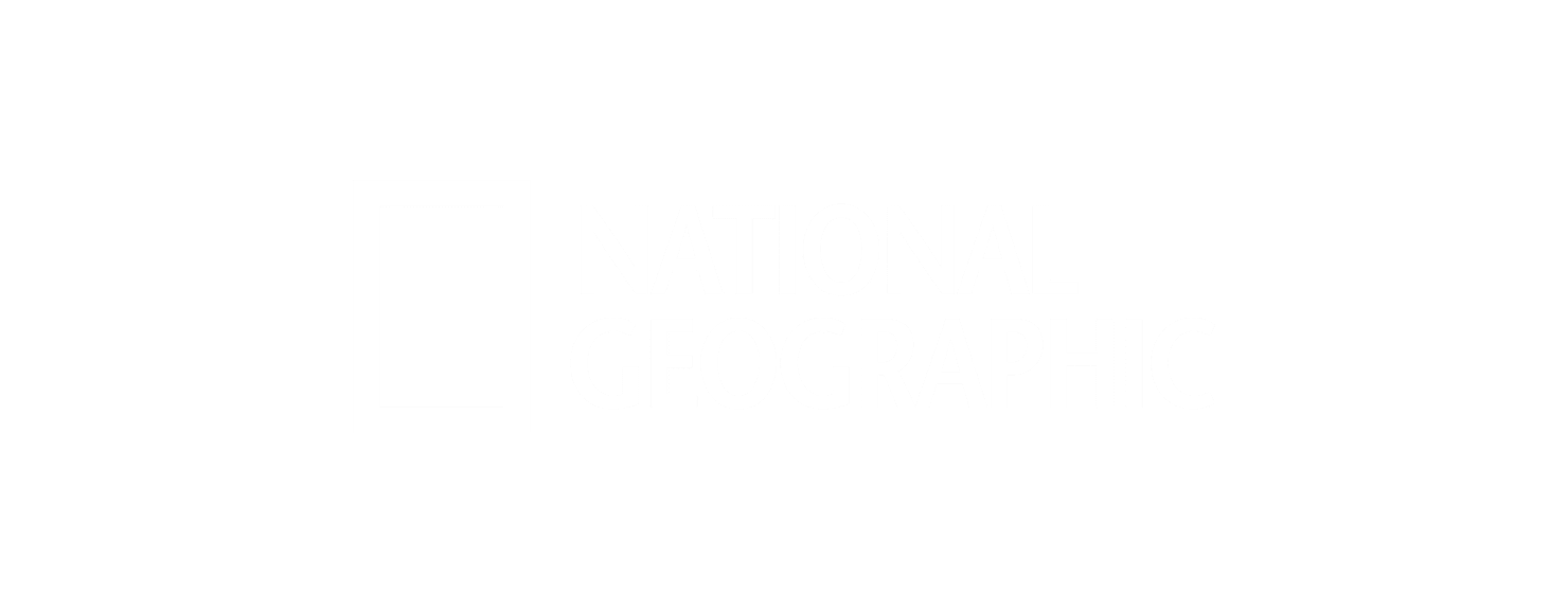 BlendyGo 3 - Original Portable Blender